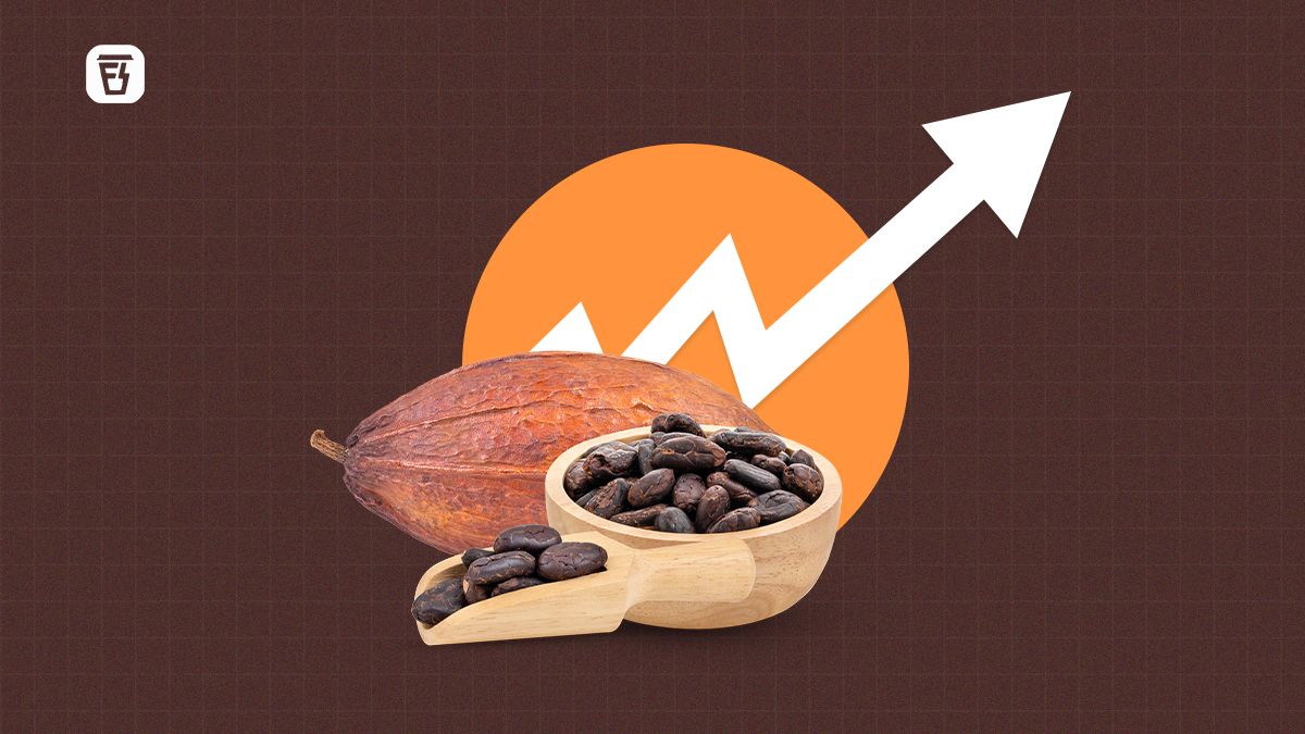 Understanding the Surge in Cocoa Prices: Key Insights Revealed ...